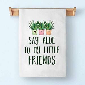 BDPWSS Plant Lover Gift Say Aloe to My Little Friends Dish Towel for Gardener Gift Succulent Plant Gift Crazy Plant Lady Gift (Say Aloe Friends TW)