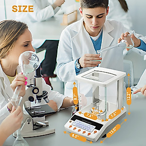 Bonvoisin Digital Analytical Balance 0.1mg High Precision Lab Scale CE Certificated Electronic Balance 0.0001g Scientific Laboratory Scale (220g, 0.1mg)