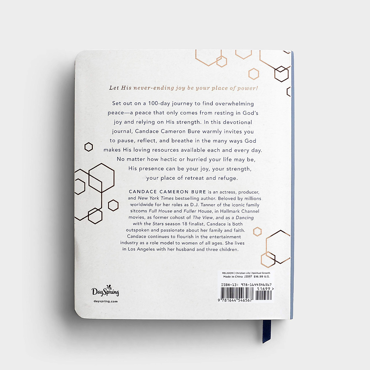 100 Days of Joy and Strength: A Devotional Journal