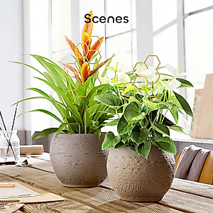 GROWNEER 2 Pcs 14" Small Plant Trellis for Climbing Plant, Honeycomb Metal Potted Trellis with 20 Pcs Cable Ties, 15 Pcs Plant Labels, Plant Support for Flower Stem Vines, Golden