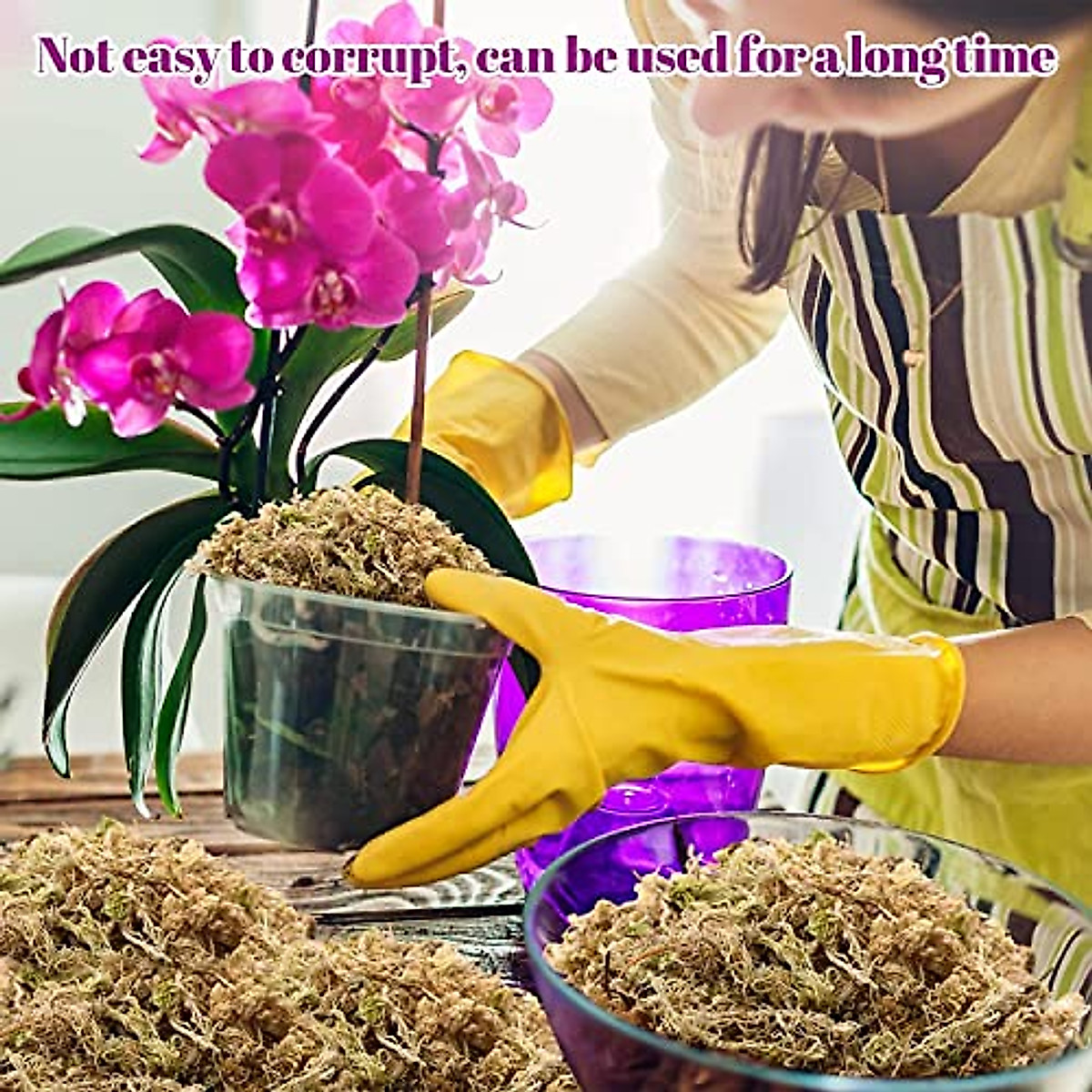 Legigo Natural Sphagnum Moss Potting Mix- Carnivorous Plant Moss Dried for Sarracenia Orchid Gardening Plants 2 Quart Sized Bag(Appx.3oz)