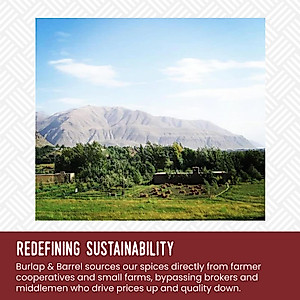 Burlap & Barrel Toasted Onion Powder – Rich, Savory-Sweet Flavor – Flavorful Onion Seasoning for Cooking – As Seen On Shark Tank - 2.9oz Glass Jar