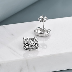 POPLYKE Cat Earrings for Women 925 Sterling Silver Hypoallergenic Jewelry Birthday Gifts for Sensitive Ears