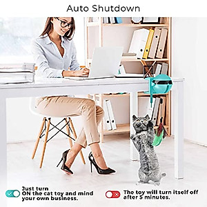 FunPetz Interactive Cat Toys for Indoor Cats - Automatic 2-in-1 Feather Cats Toys for Endless Play - Electronic Kitten Toys with Smart Shut-Off - Robotic Pet Toys with Feather Replacements