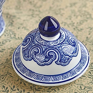 GaLouRo Blue and White Ginger Jars for Home Décor,Small Chinoiserie Porcelain, Good Ideal for Room, Office Decoration,9.8" H