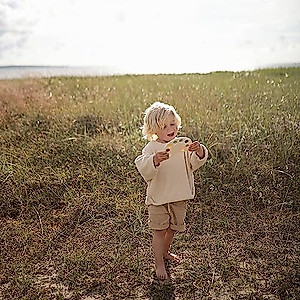 mushie Paint Palette Press Toy