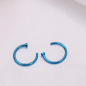 Generic 2 Pcs Unisex Surgical Steel Hinged Clicker Segment Nose Rings Hoop Helix Cartilage Earrings Titanium Steel Body Piercing Stud, Blue, 0.8 * 0.8 * 0.1 cm, WCXMI043160DZ16O2