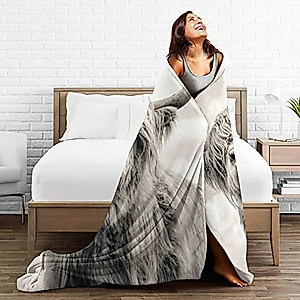 Billichase Highland Cow Blanket Portrait of Cow Pattern Flannel Fleece Throw Blanket Scotland Scottish Horns Bull Cattle Blankets for All Seasons for Couch Bed Sofa 50 X 40 Inches