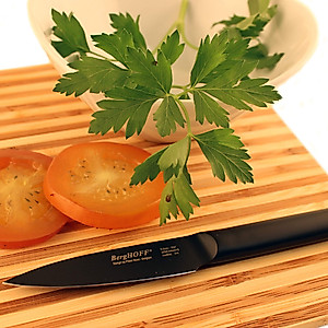 Berghoff RON Non-stick Vegetable Knife & Paring Knife Black Titanium PVD Coating Hollow Handle Sharp & Well Balanced Seamless Transition