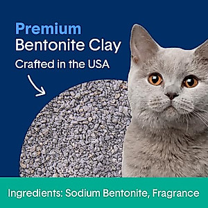 Boxie® Gently Scented 30 Day Natural Odor Control Cat Litter, 40lb Clumping Clay Kitty Litter