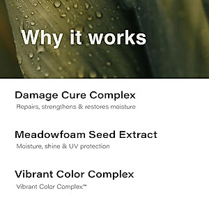 Eufora beautifying elixirs bodifying conditioner 8.45 oz