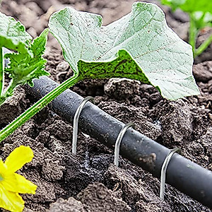 Landscape Staples 6 Inch Galvanized Garden Stakes 150 Pack,Garden Staples Heavy-Duty Sod Pins Anti-Rust Fence Stakes Securing Pegs for Barrier Fabric Irrigation Tubing Hose Weed