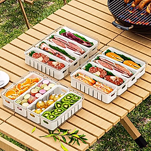 NestOrganix 2 Pack Snackle Box Container Serving Tray, Portable Snack Tray with Lid & Handle, Refrigerator Organize Box for Vegetable Fruit Candy (4 Compartments)