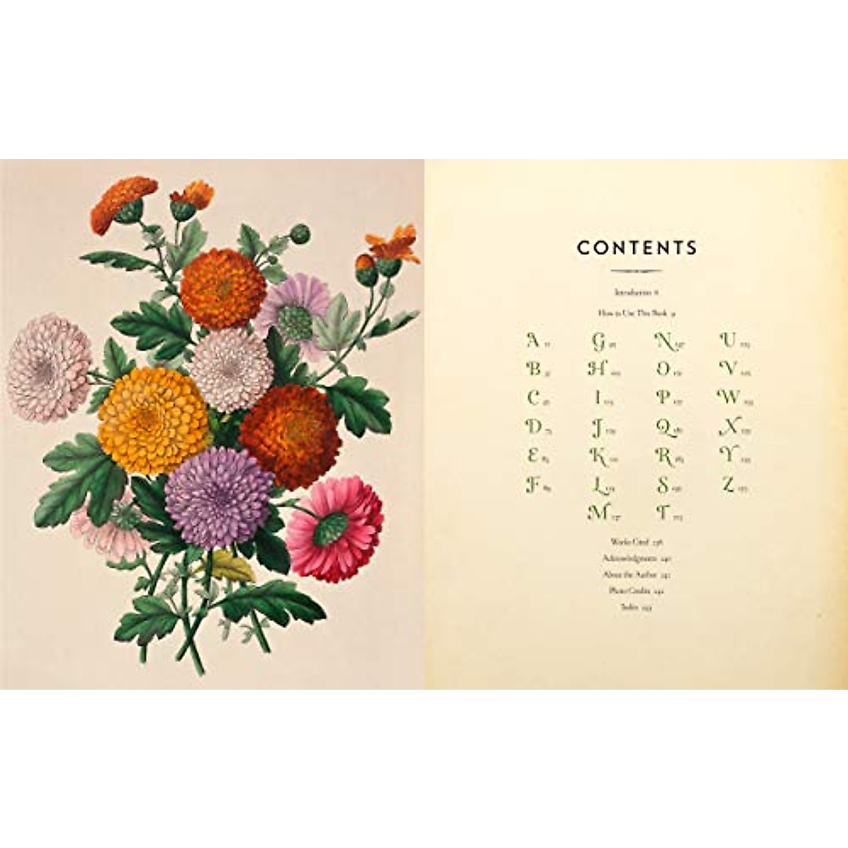 The Complete Language of Flowers: A Definitive and Illustrated History (Volume 3) (Complete Illustrated Encyclopedia, 3)