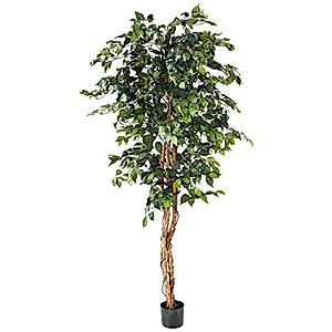 Nearly Natural 6ft. Ficus Artificial Trees, 72in, Green