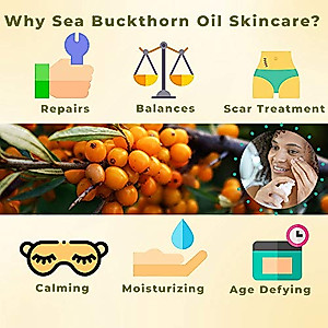 SeabuckWonders Organic Sea Buckthorn Body Lotion, 6 FL OZ