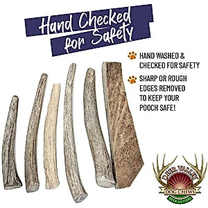 Deer Valley Dog Chews (Small 5-7 Inches, 6 Pack) Premium Deer Antler for Small Dogs - Long Lasting Dog Bone for Teething and Chewing - Organic, Odorless, Naturally Shed, USA