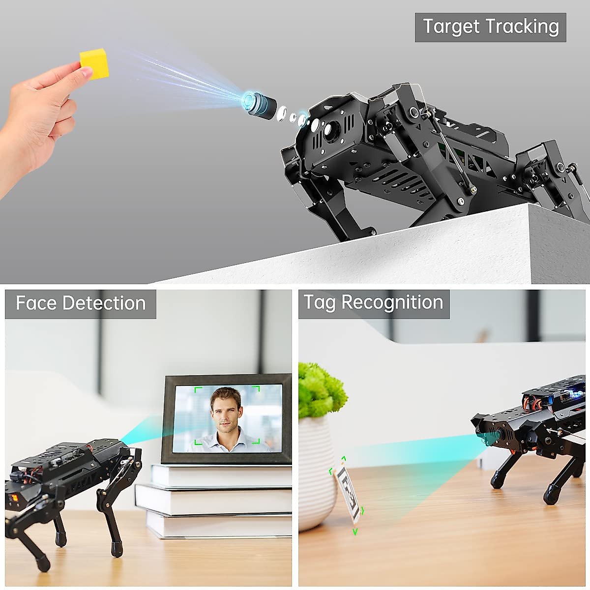 HIWONDER Quadruped Robot Bionic Robot Dog with AI Vision Raspberry Pi kit ROS Open Source Programming Robot(Advance Kit)