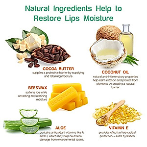 Nature's Bees (24 Count, 8 Flavors) Cocoa Butter Flavored Lip Balm Tubes Set Bulk Assortment Natural Chap Treatment Moisturizer For Very Dry Lips