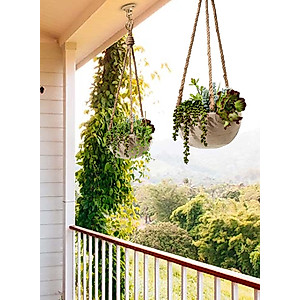 Serene Spaces Living Paulownia Hanging Wood Bowl with Jute Rope, Hanging Faux Succulent and Artificial Plants, Ideal for Home, Garden, Office Decor, Measures 4.5" Tall and 9.25" Diameter