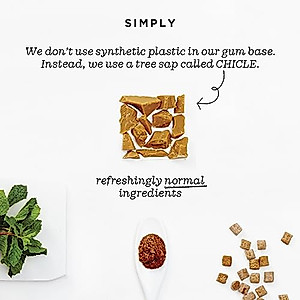 Simply Gum | Peppermint | Pack of Six (90 Pieces Total) | Plastic Free + Aspartame Free + non GMO