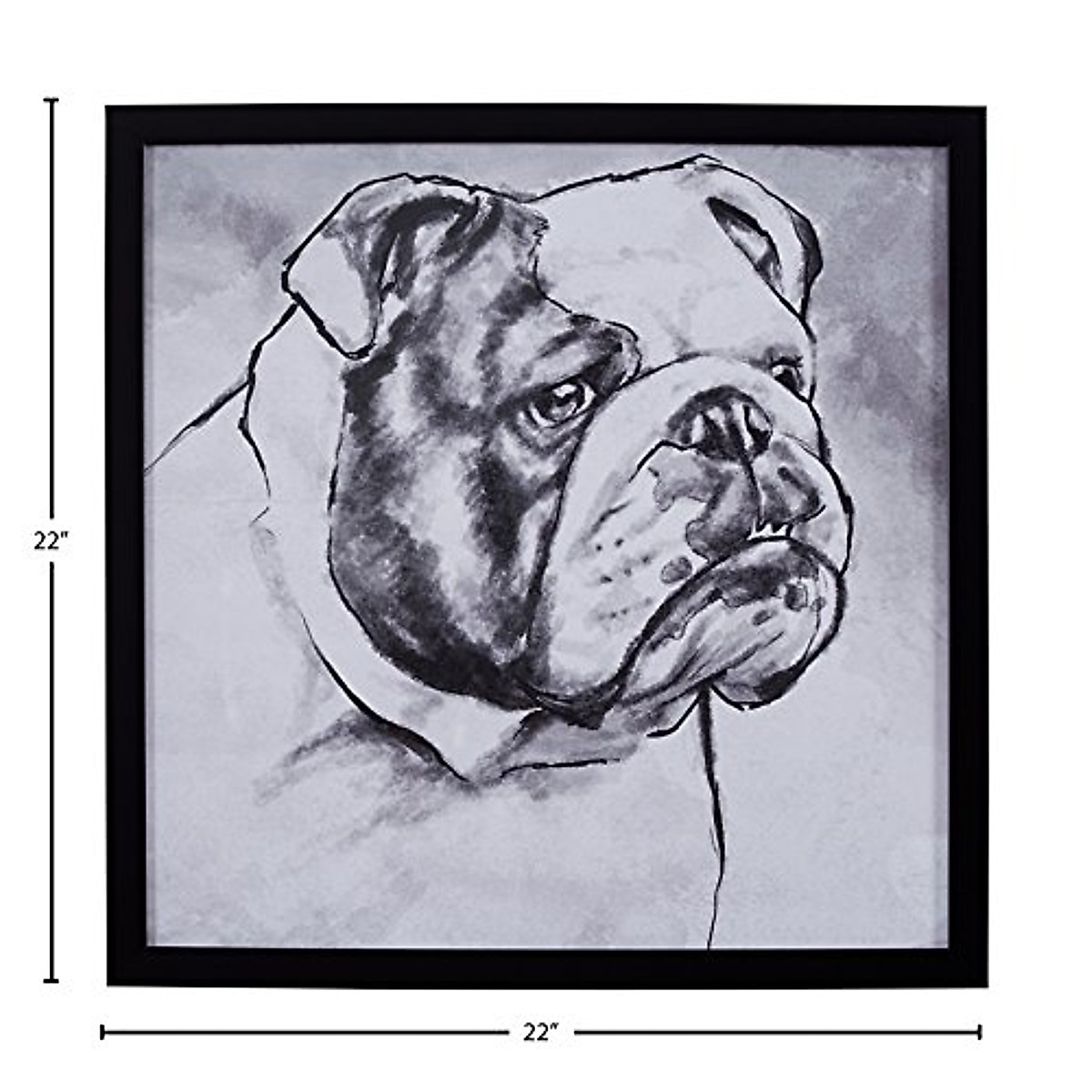 Amazon Brand – Stone & Beam Modern Black and White Print Wall Art of English Bulldog, Black Frame, 22" x 22"