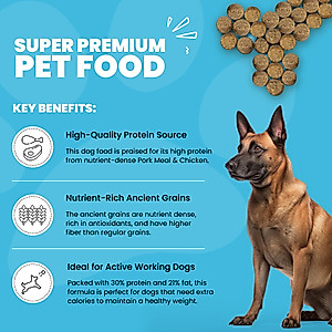 Muenster Adult Dry Dog Food, Small Breed, Large Breed - 4lb Bag Ancient Grain w/Chicken & Pork - Little Bites – Gluten Free, Non-GMO High Protein Dog Food - Soft & Healthy Digestive Dog Kibble