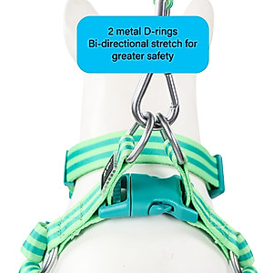 Tiffpaws Striped 3-in-1 Suit Dog Collar, Harnesses & leashes Personalize Dog Collar for Dog Easy Cute Dog Leash Small Dog Collar Medium Dog Harness (Green, L)