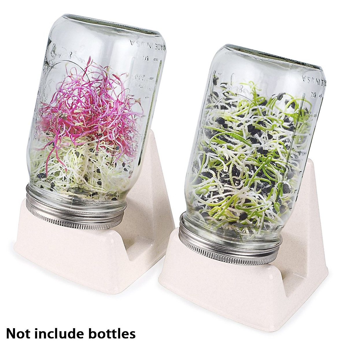 SUMNACON Sprouting Jar Stand - 3 Pcs Sprouting Stands With Water Tray For Any Mason Jars For Making Broccoli/Lentil/Bean Sprouts