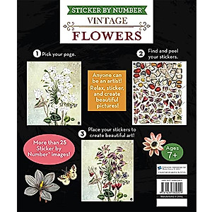 Brain Games - Sticker by Number - Vintage: Flowers (28 Images to Sticker)