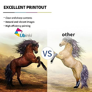 243XL PG-243XL Ink Cartridge Replacement for Canon 243 Black Ink Cartridges PG243 245 for Pixma MG2500 MG2522 MG2922 TS3122 TS3322 TS202 R4520 TR4522 MX492 Printer|2X Capacity per Cartridge(2 Pack)