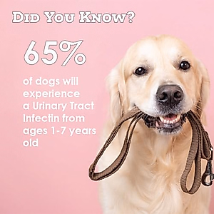 Pet Health Solutions Cranberry D-Mannose Urinary Tract Support - Bladder Health Supplement for Dogs and Cats - 60 Tablets