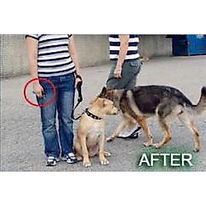 Canine Innovations Pet Convincer 2 - Air Training Tool Dogs