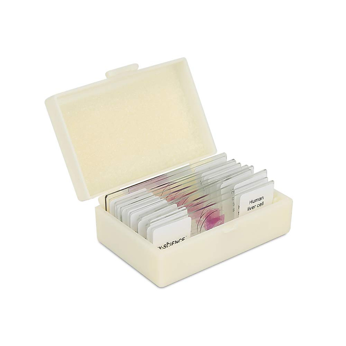 Prepared Human Pathology Microscope Slide Set, 12pcs Research-Quality Prepared Tissue Microscope Slides of Human Diseases (Human Pathology)
