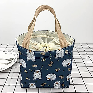 Enyuwlcm Handle Insulated Cute Lunch Tote Reusable Small Lunch Bag with Drawstring Suitable for Girls Kids Bear