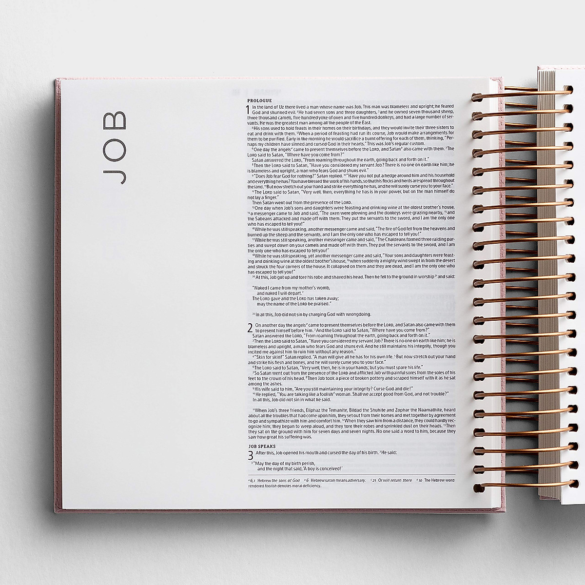 Illustrating Bible NIV - Spiral Bound Bible Journal, Pink