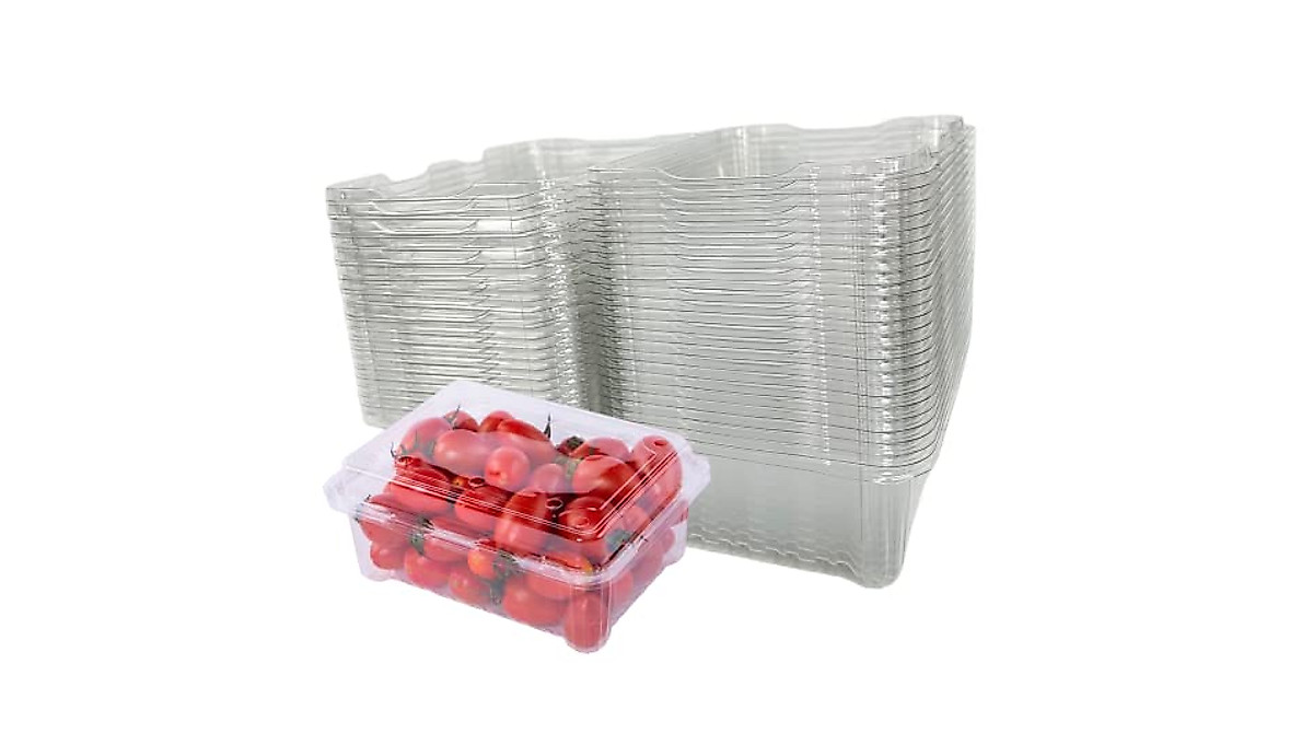 Hewnda 20 Pack Clear Plastic Berry Containers for Fresh Fruits