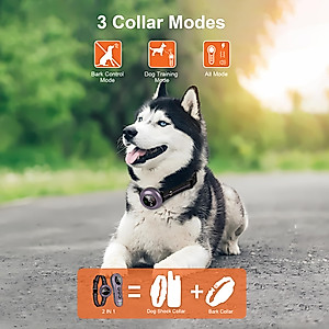 Neoally 2 in 1 Dog Training and Bark Control Collar: Smart Anti Barking Collar with and with No Remote for 5-150 lbs Small Medium Large Dogs. Rechargeable and Waterproof Receiver (Purple)