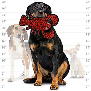 TUFFY - World's Tuffest Soft Dog Toy - Ocean Larry Lobster -Squeakers - Multiple Layers. Made Durable, Strong & Tough. Interactive Play (Tug, Toss & Fetch). Machine Washable & Floats. (Combo Pack)
