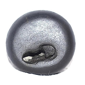 Krishna Shaligram/Santan Gopal Shaligram