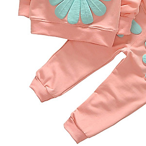 oddler Baby Girls Sunflower Clothes Set Long Sleeve Top and Pants 2pcs Outfits Fall Clothes (Age(4T), Pink)