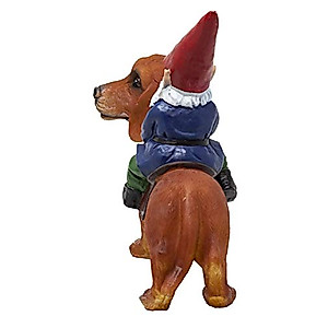 Funny Guy Mugs Gnome and a Dachshund Garden Gnome Statue- Indoor/Outdoor Garden Gnome Sculpture for Patio, Yard or Lawn