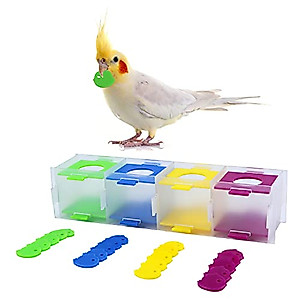 Litewoo Parrot Intelligence Training Toy Color Separation Coin Box Education Interactive Playing Puzzle Toy for Birds Parakeet Cockatiel Amazon Budgie Cockatoo Finch Conures Macaw