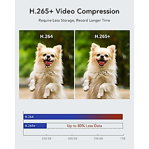 ANNKE 16-Channel HD-TVI 1080P Lite Security Video DVR, H.265+ Video Compression for Bandwidth Efficiency, HDMI and VGA Outputs Both Support Up to 1080P, Remote Access, Email Alarm, NO HDD