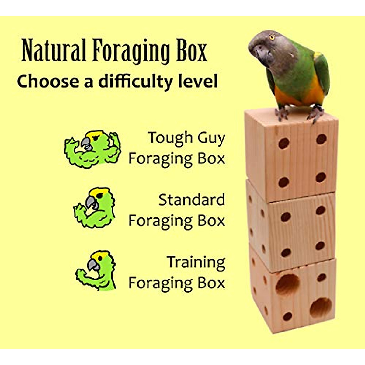 Natural Foraging Box Toy for Parrots (Tough Guy Foraging Box)