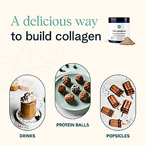 Ora Organic Vegan Collagen-Boosting Powder for Women and Men - Hair, Skin, & Nails Support - Bamboo Silica, Plant-Based Protein, Organic Vitamin C, Aloe Vera - Chocolate Flavor, 20 Servings