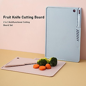 Mini Travel Cutting Board,Cutting Boards for Kitchen,Plastic Utility Cutting Board with Handles,Safe Multifunctional Portable Fruit Chopping Board With Knife Hanging Hole for Kitchen(pink)