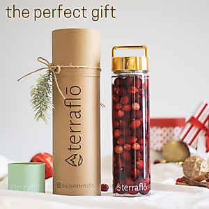 Terraflo Fruit Infuser Premium Glass Water Bottle 24 oz (700 mL) - Removable Anti-Slip Silicone Sleeve - Top Handle Lid - Stainless Steel Filter for Infusion - Infused Bottles for All (Gold & Green)