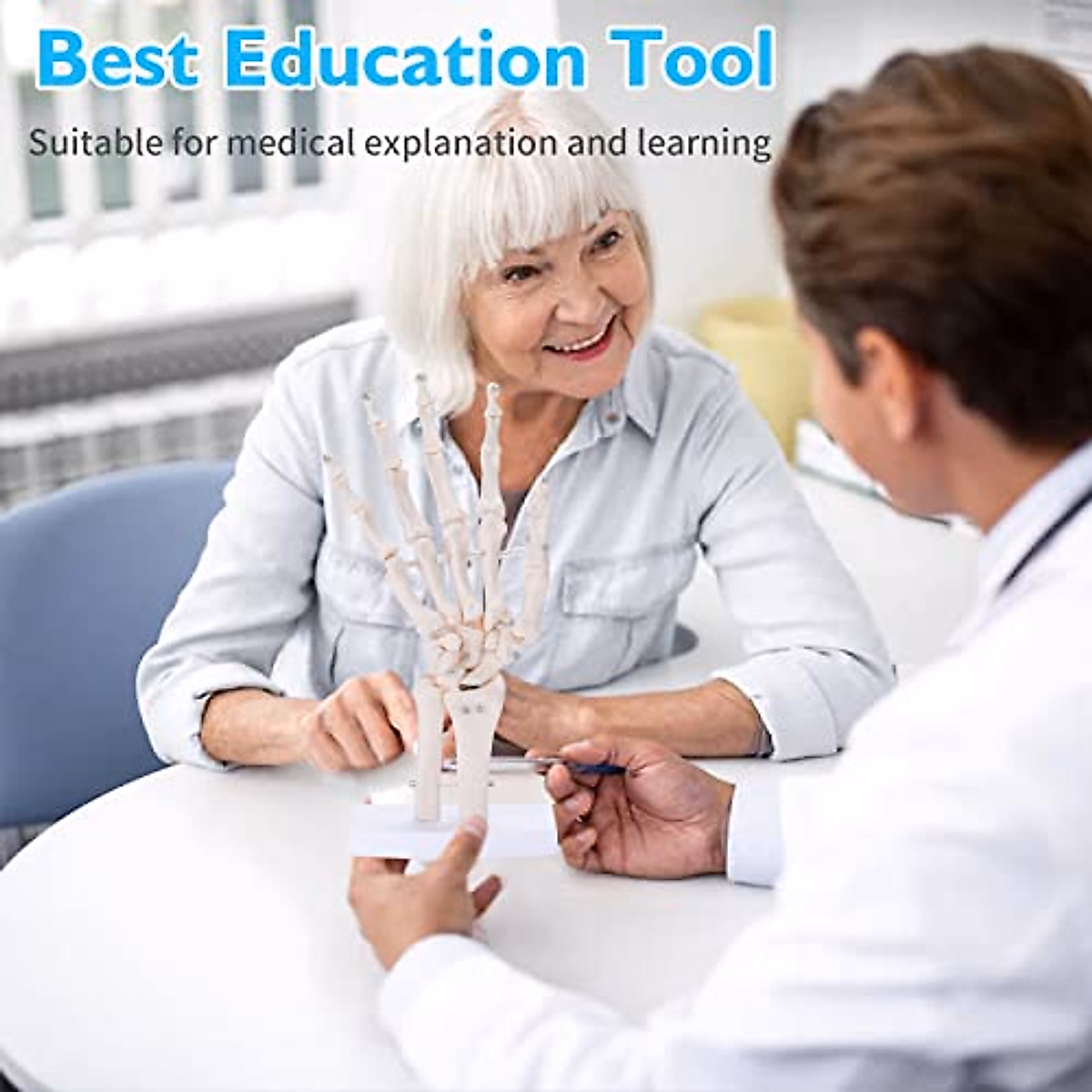 ANNWAH Hand Skeleton Model - Medical Human Finger Bone Made of PVC Posable Hand Showing Ulna and Radius for Research and Learning