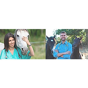 Horse Treats: A to Z Horse Cookies Blonde Bits of Health, Low Carb, Low Sugar, A Softer Cookie, Wheat, Corn, Soy and Alfalfa Free, Made With Cinnamon and Agave, Organic, All Natural Human Grade Ingredients (4.5 lbs Box)